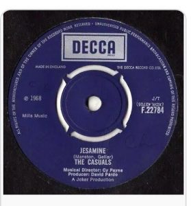 Introducing The Casuals